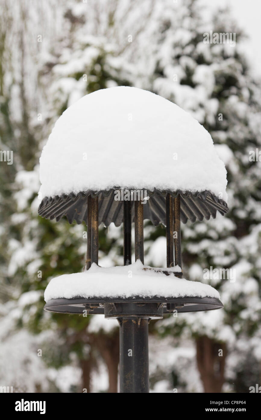 Covered bird hi-res stock photography and images - Alamy