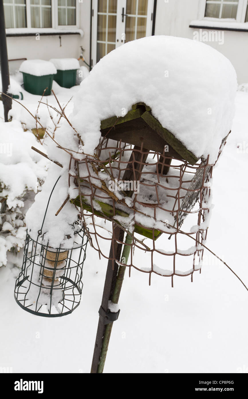 Hanging bird table hi-res stock photography and images - Alamy