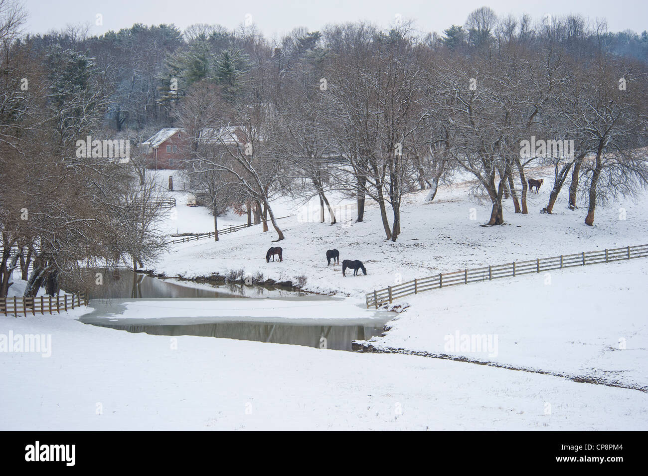 White snow in pasture hi-res stock photography and images - Alamy