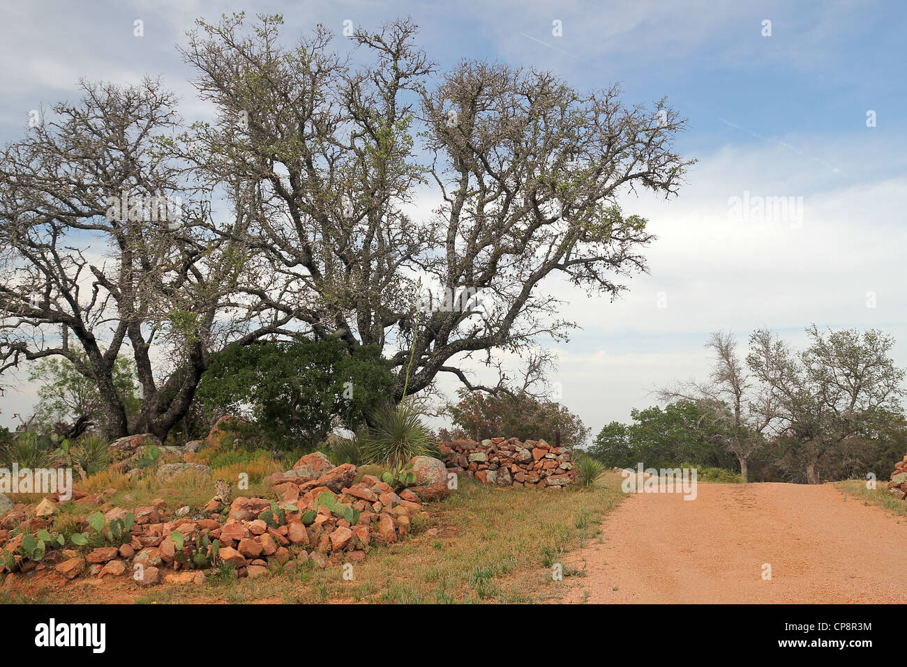 Along Willow City Loop scenic drive, near Fredericksburg, Texas Stock ...