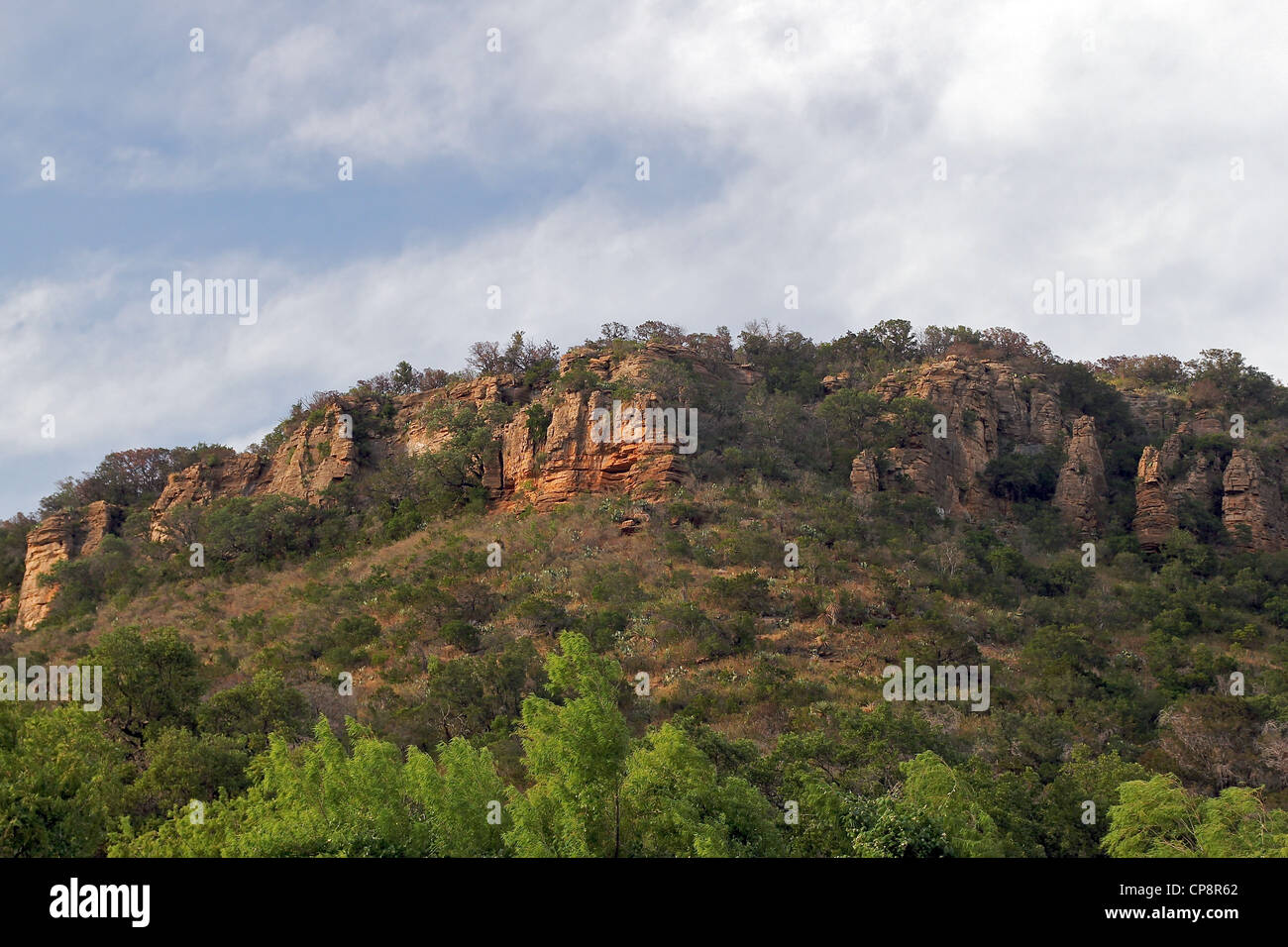 Landscape beside the Willow City Loop scenic drive, near Fredericksburg ...