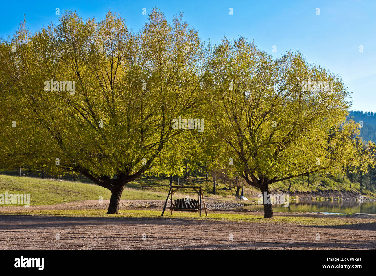 Willow trees yellow hi-res stock photography and images - Alamy