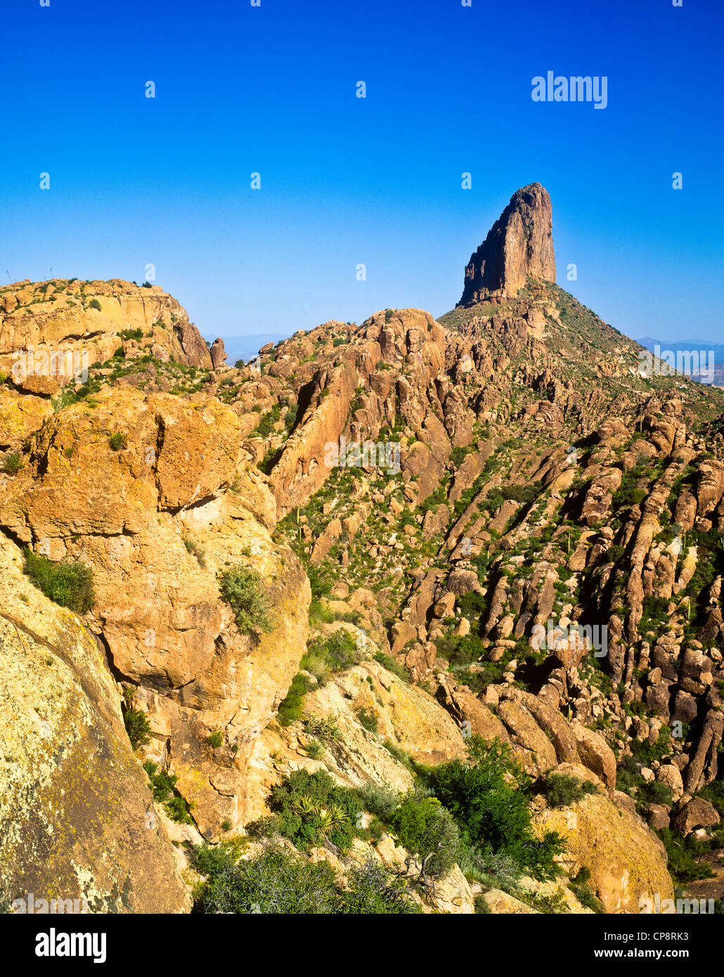 Weavers needle hi-res stock photography and images - Alamy