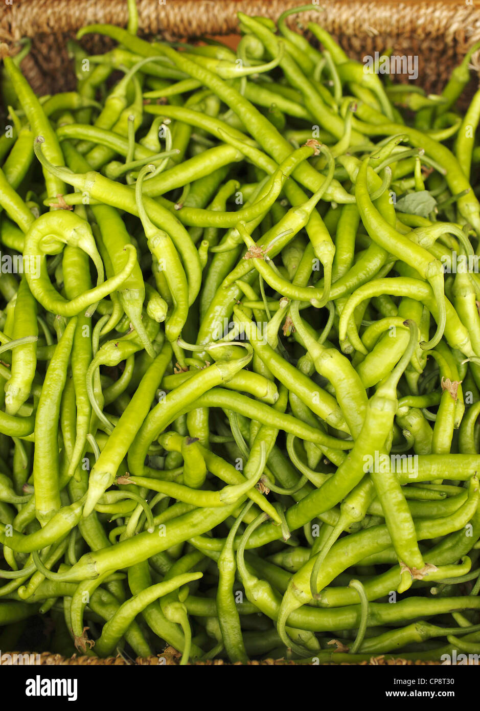 long green peppers Stock Photo - Alamy
