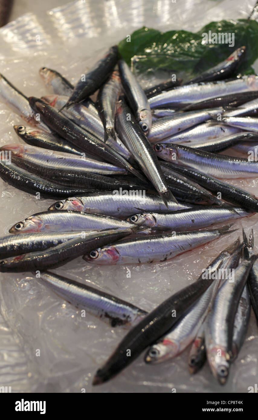 at the fish market in Spain Stock Photo - Alamy