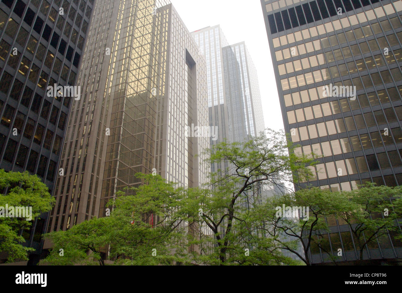 Downtown office towers in the Toronto Dominion (TD) Centre in an ...