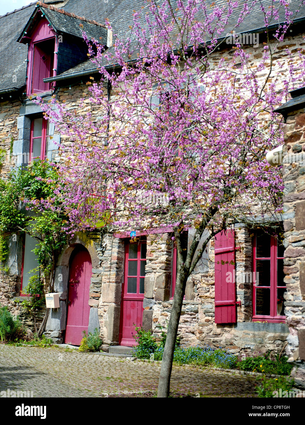 Traditional french house hi-res stock photography and images - Alamy