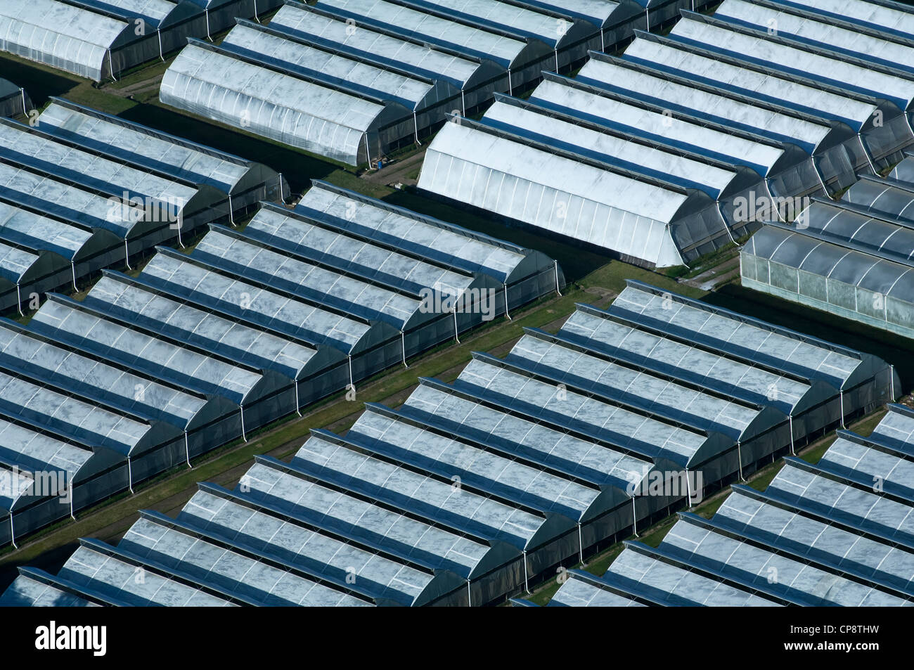 Greenhouses, horticulture production for export to Europe, aerial view ...