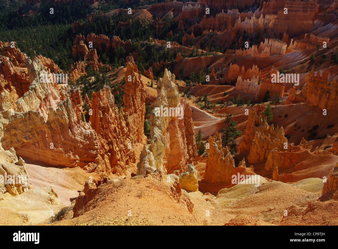 Bryce Canyon, Utah Stock Photo - Alamy