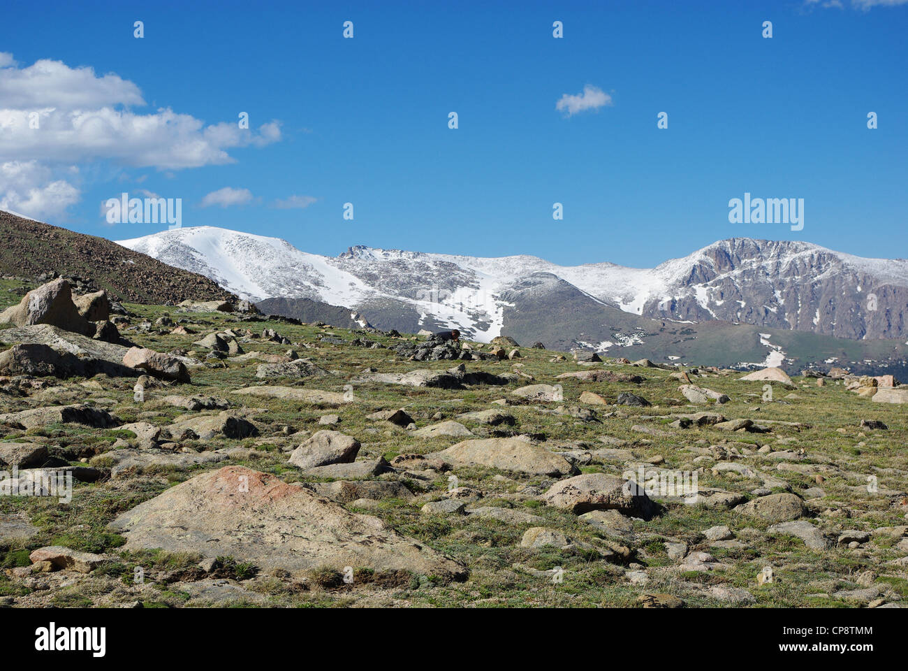 High Rockies, Colorado Stock Photo - Alamy