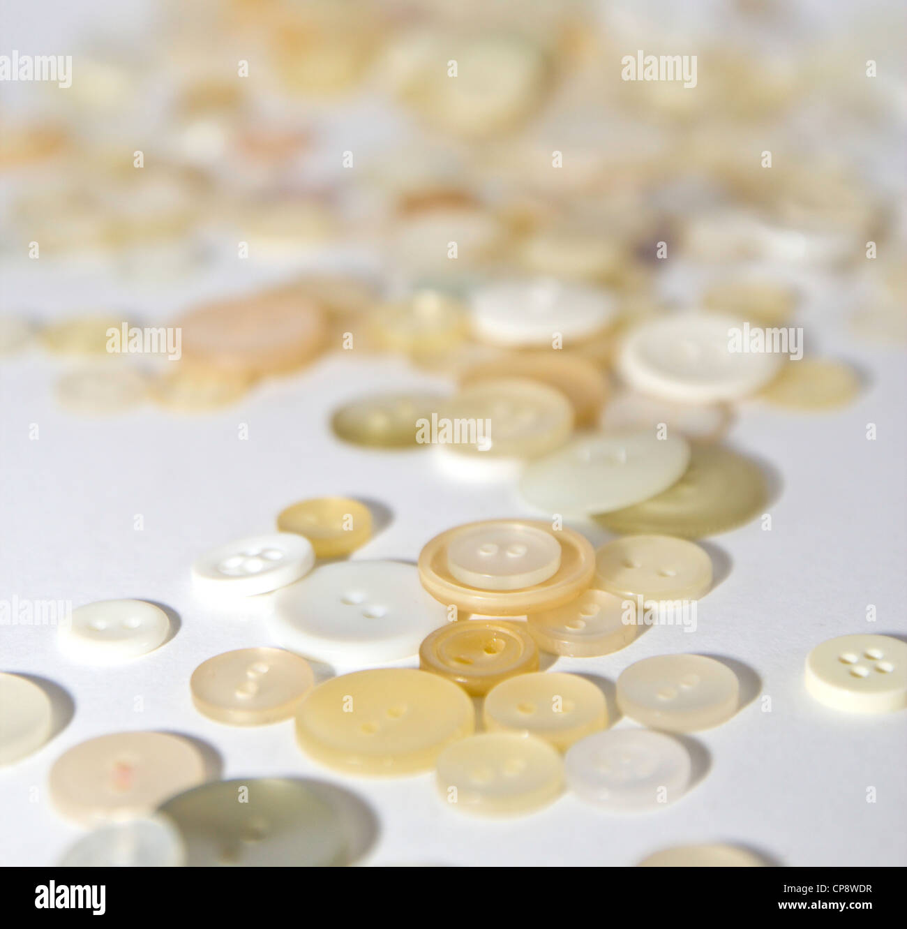 light color sewing buttons Stock Photo - Alamy
