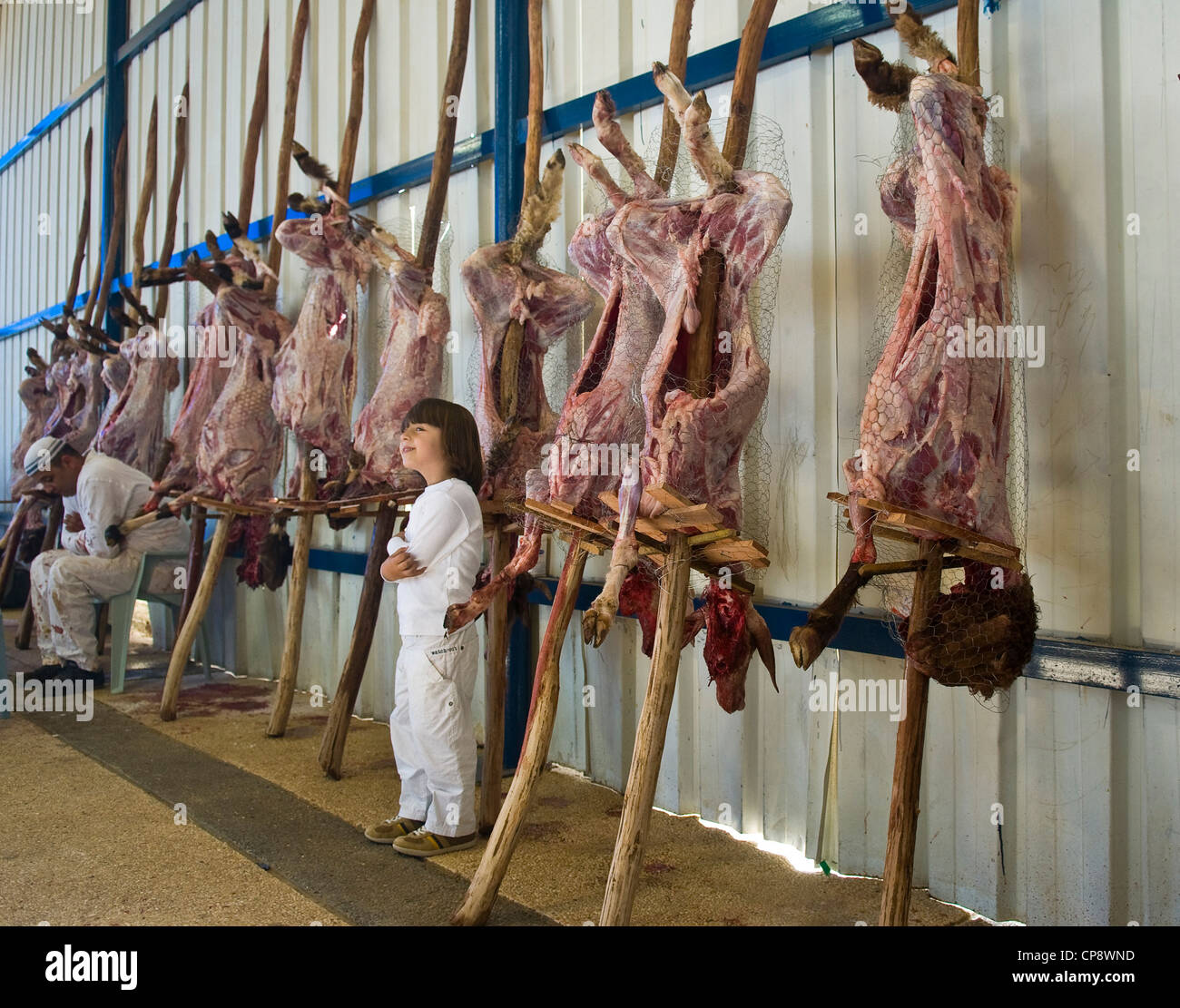 members of the ancient Samaritan community during the traditional ...