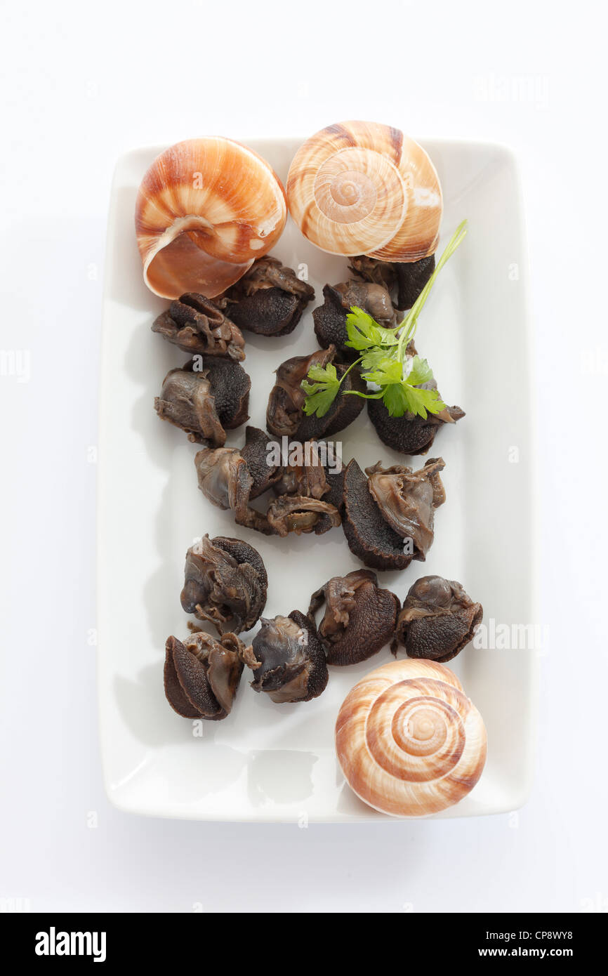 Preserved snails in plate on white background Stock Photo - Alamy