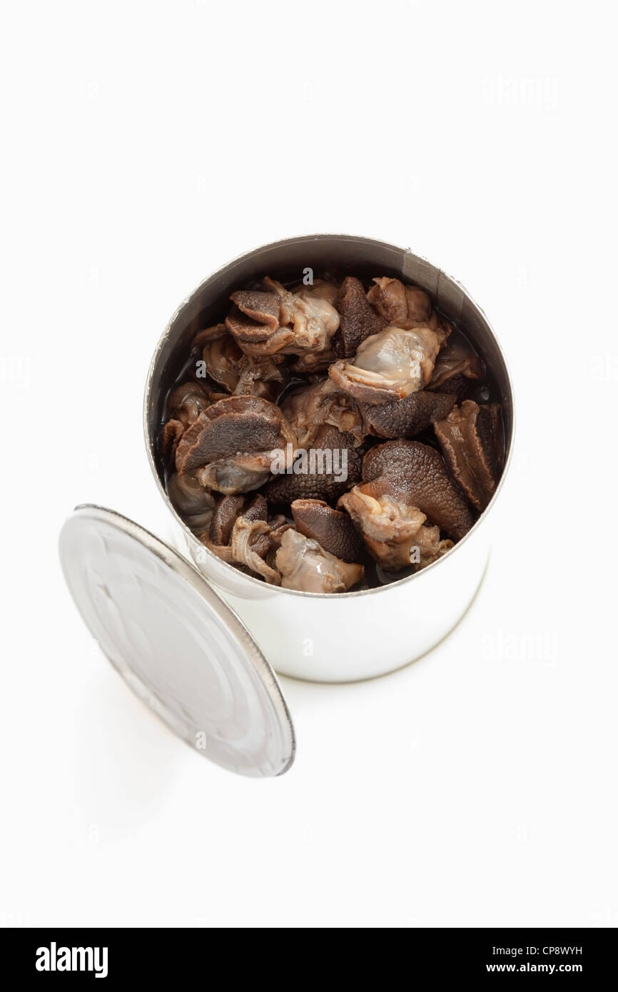Preserved snails in tin can on white background Stock Photo - Alamy
