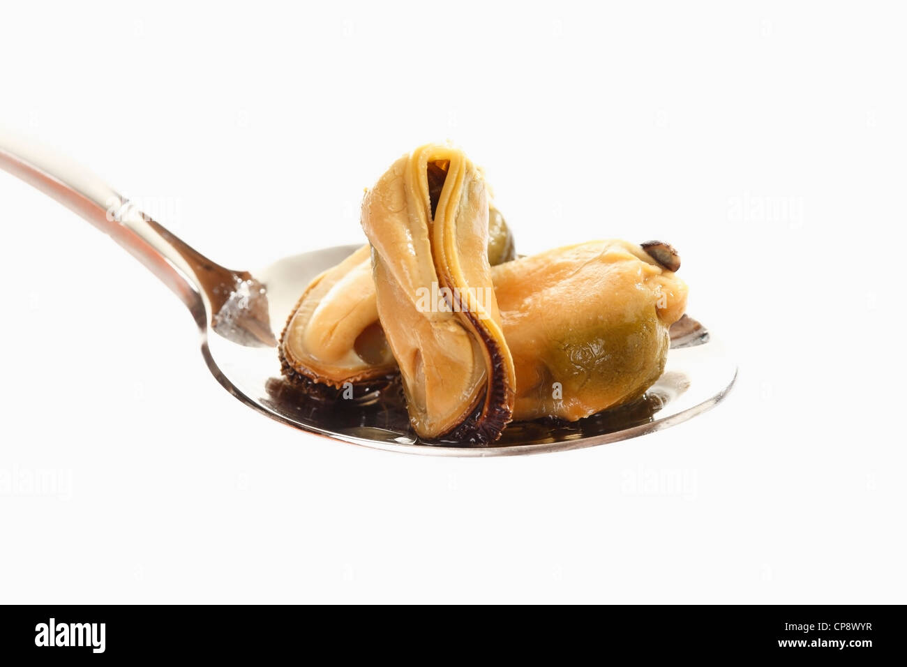 Preserved mussels in spoon against white background Stock Photo - Alamy