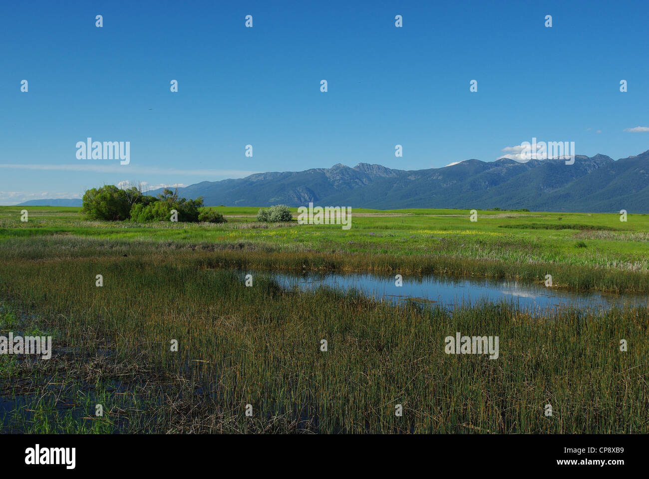 Flathead lake montana hi-res stock photography and images - Alamy