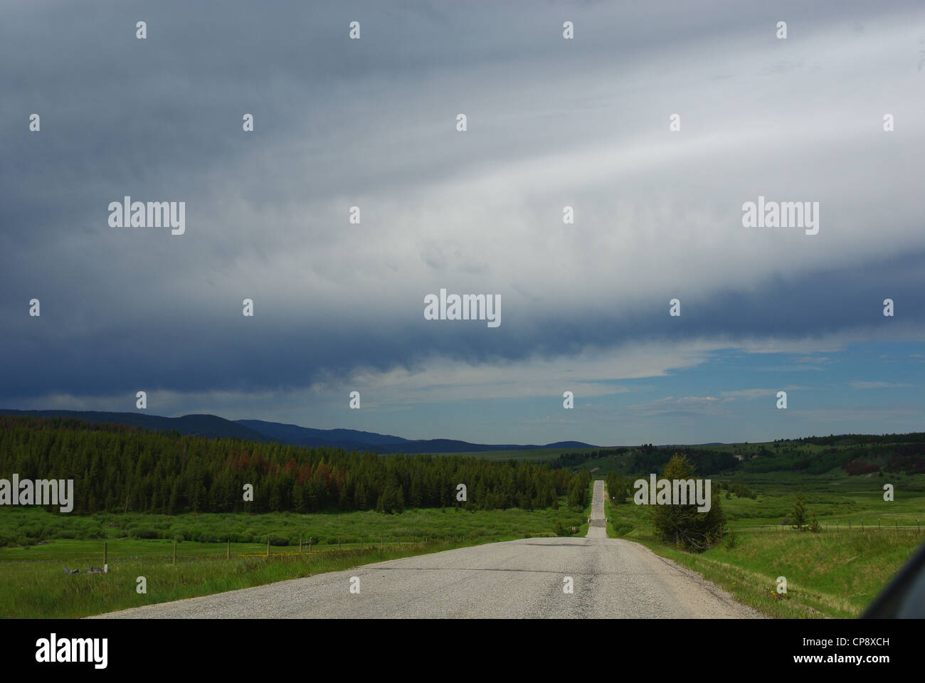 Secluded Pioneer Mountains byway south of Wise River, Montana Stock ...