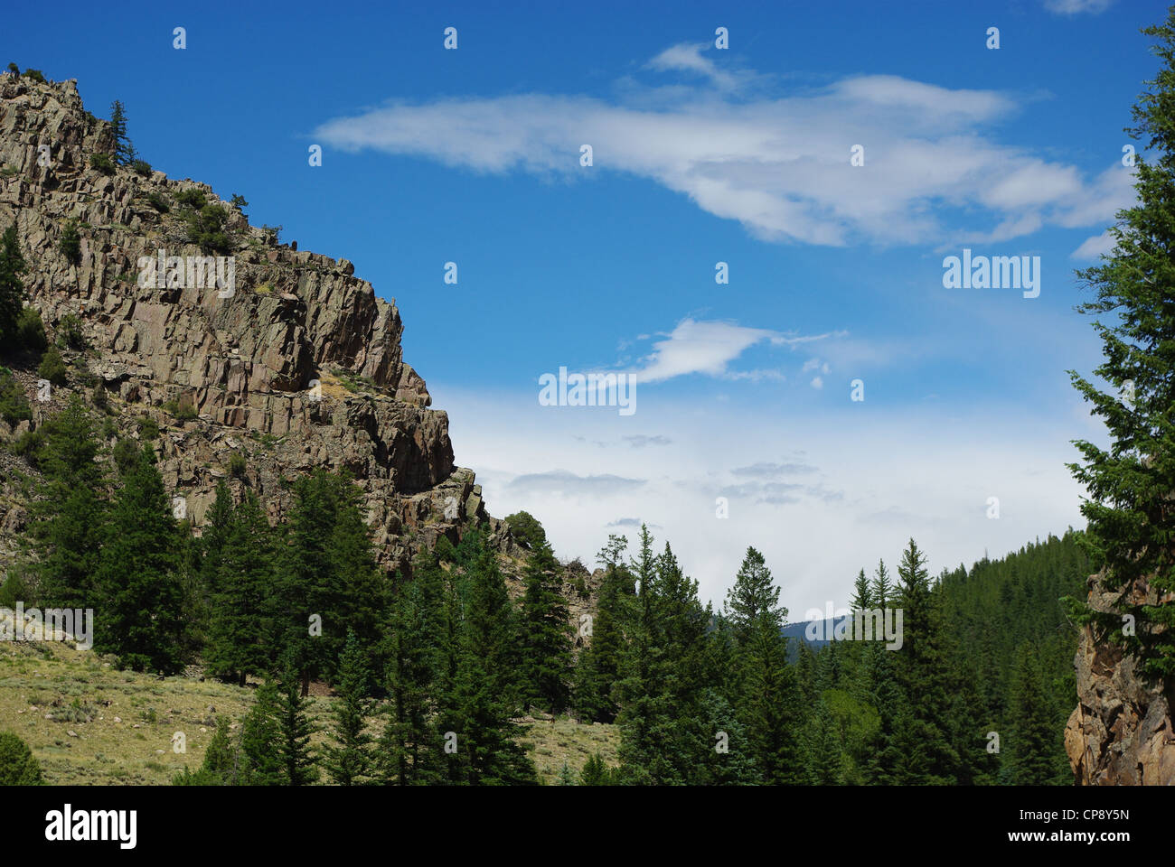 Taylor river hi-res stock photography and images - Alamy