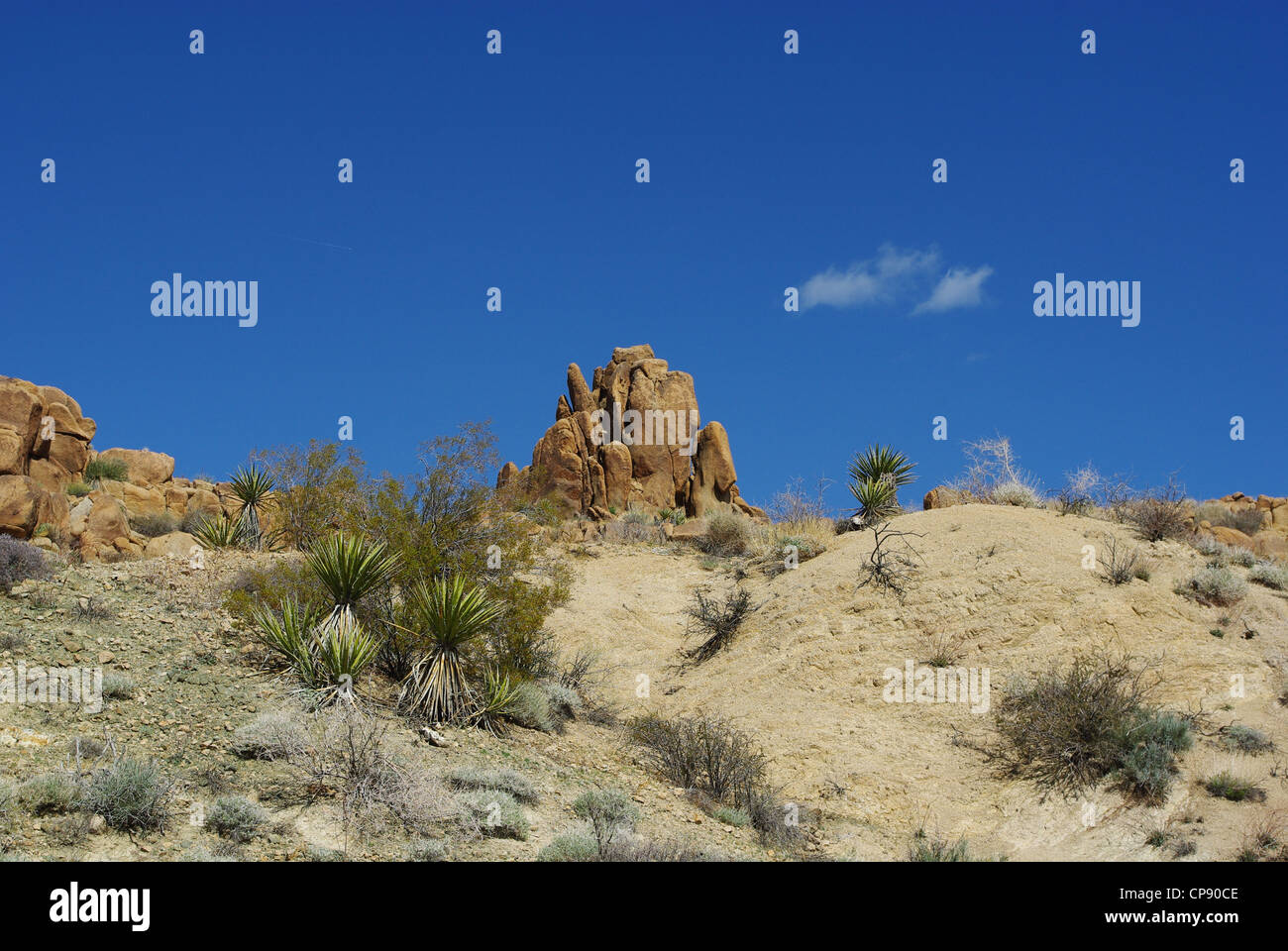 Joshua Tree National Park, California Stock Photo - Alamy
