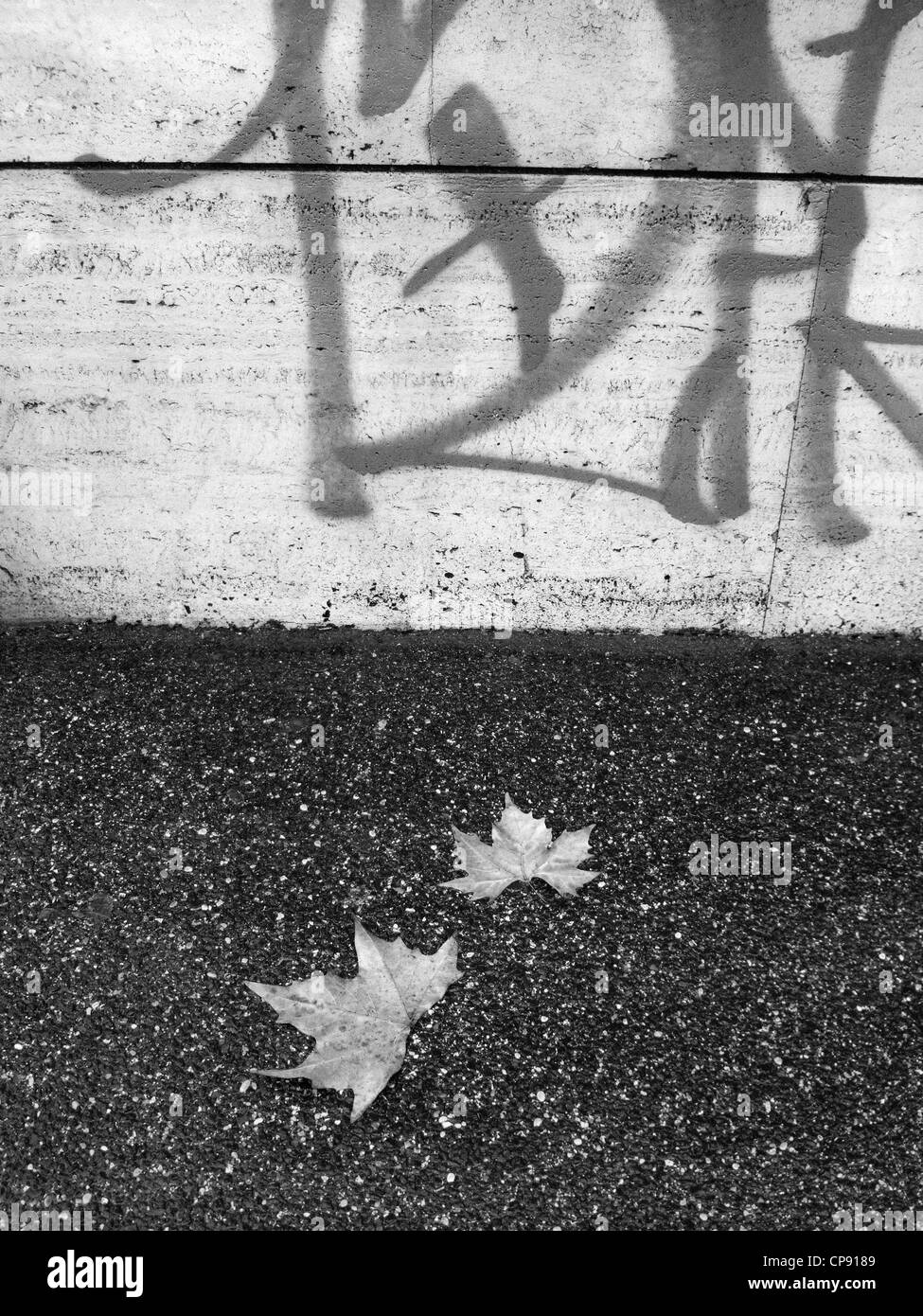 Leaves his plane Black and White Stock Photos & Images - Alamy