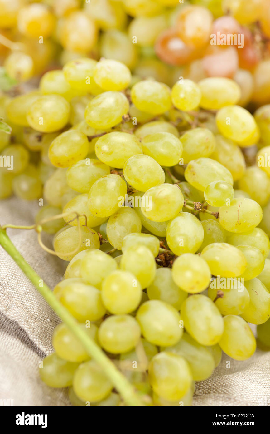 Grapes fresh studio nobody hi-res stock photography and images - Alamy