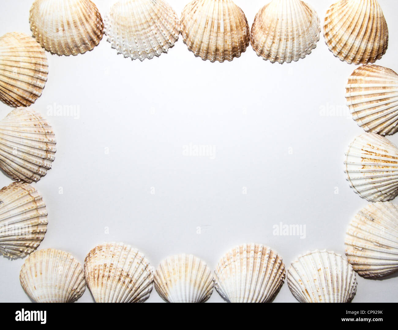 frame made of seashells Stock Photo - Alamy