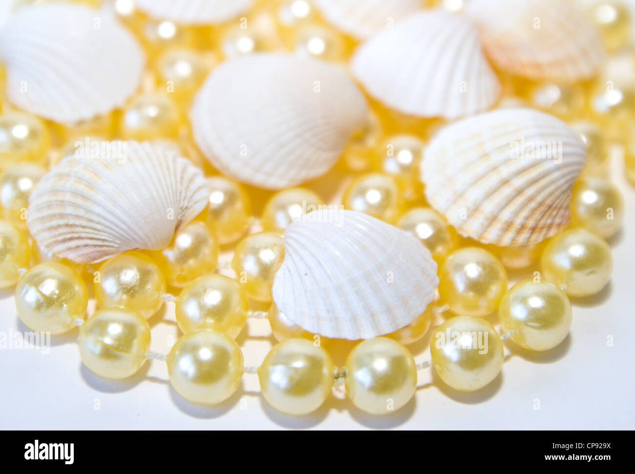 sea shells with pearls Stock Photo - Alamy