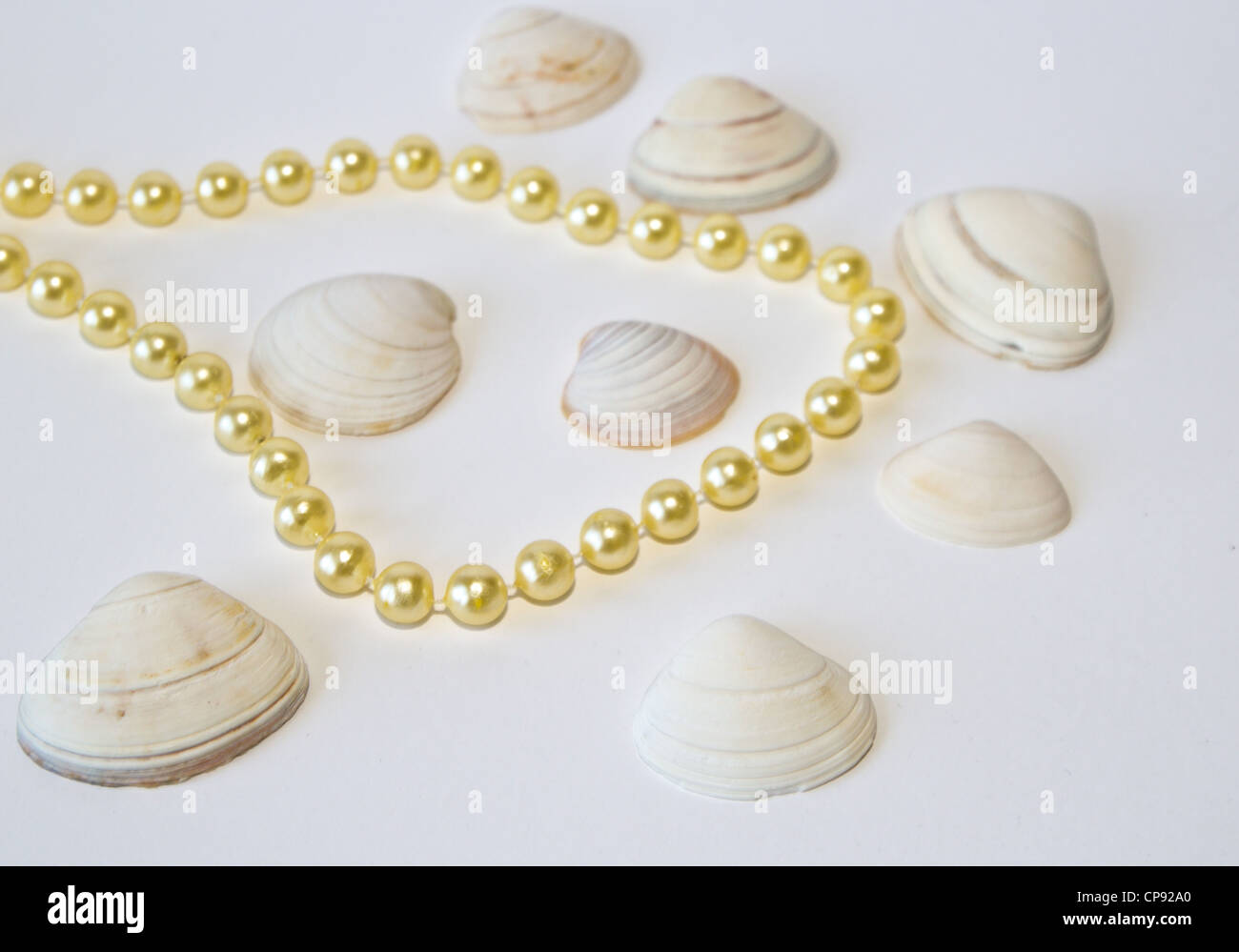 sea shells with pearls Stock Photo - Alamy