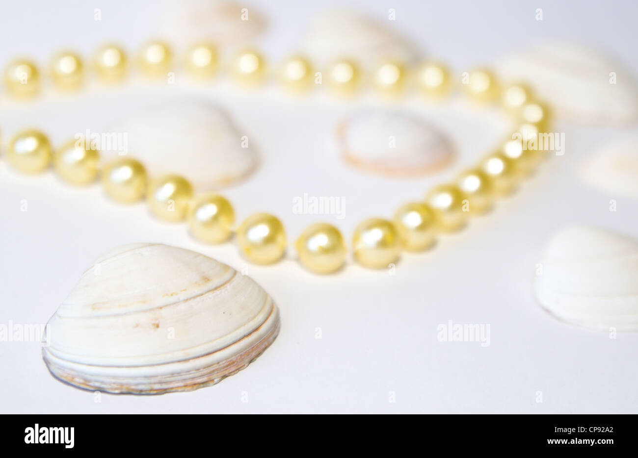 sea shells with pearls Stock Photo - Alamy