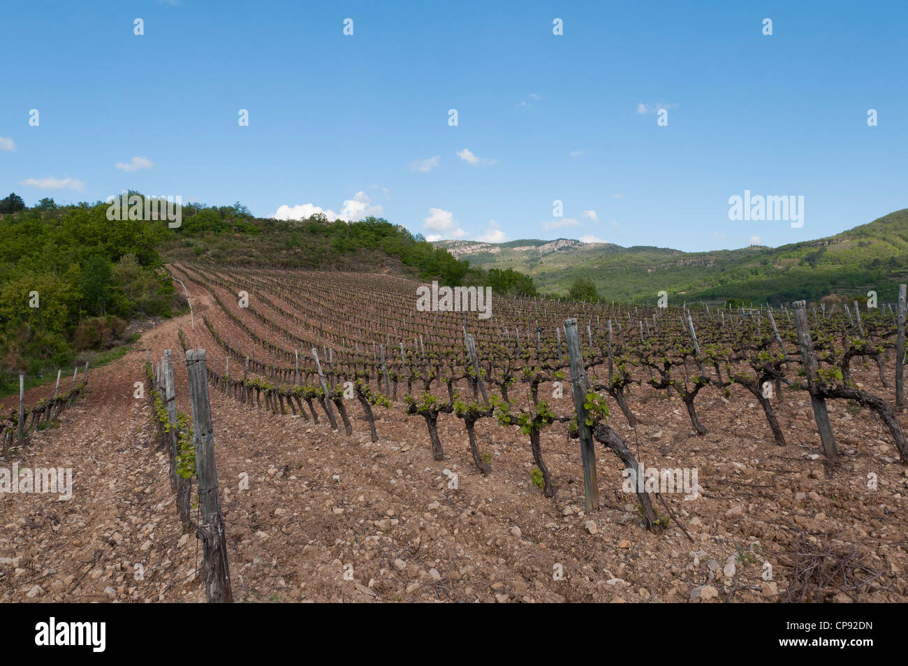 Ciel vigne hi-res stock photography and images - Alamy