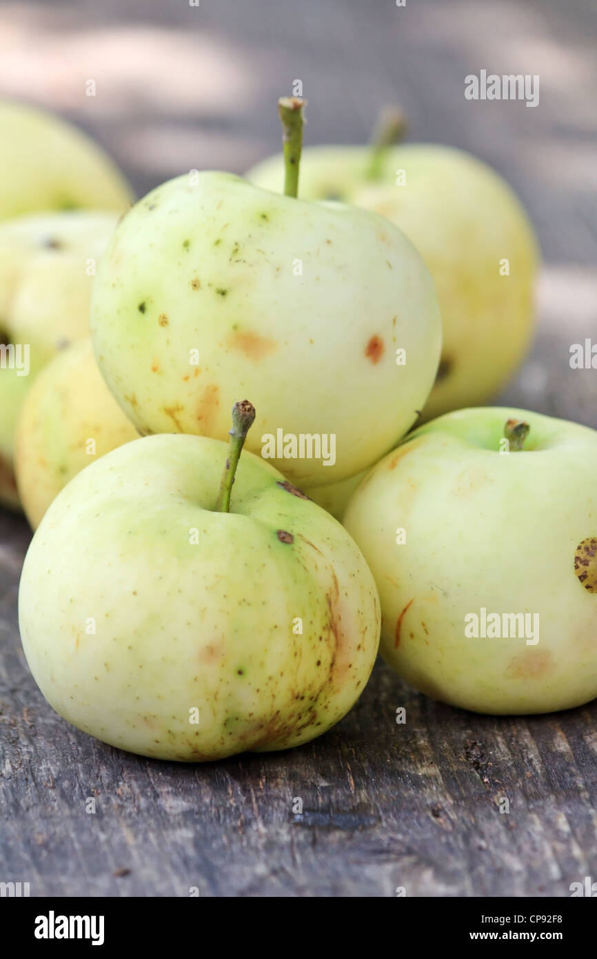 fresh apples in the garden Stock Photo - Alamy