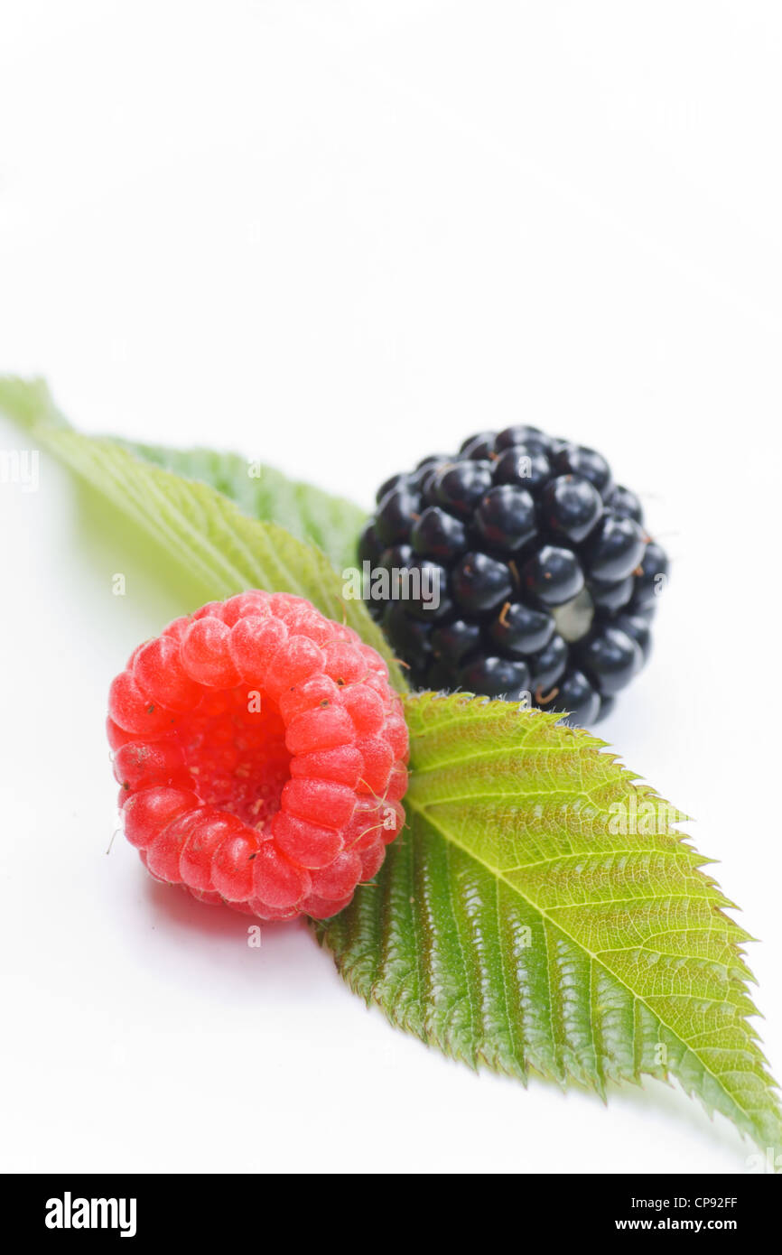 Ruby berries hi-res stock photography and images - Alamy