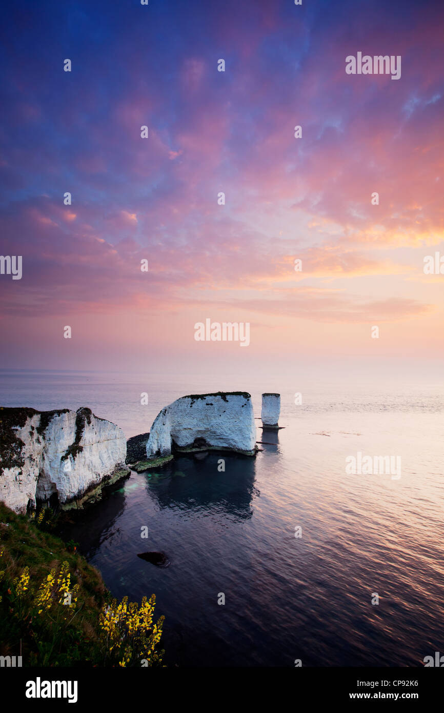 View of Old Harry Rocks, Chalk Stacks which jut out into the English ...