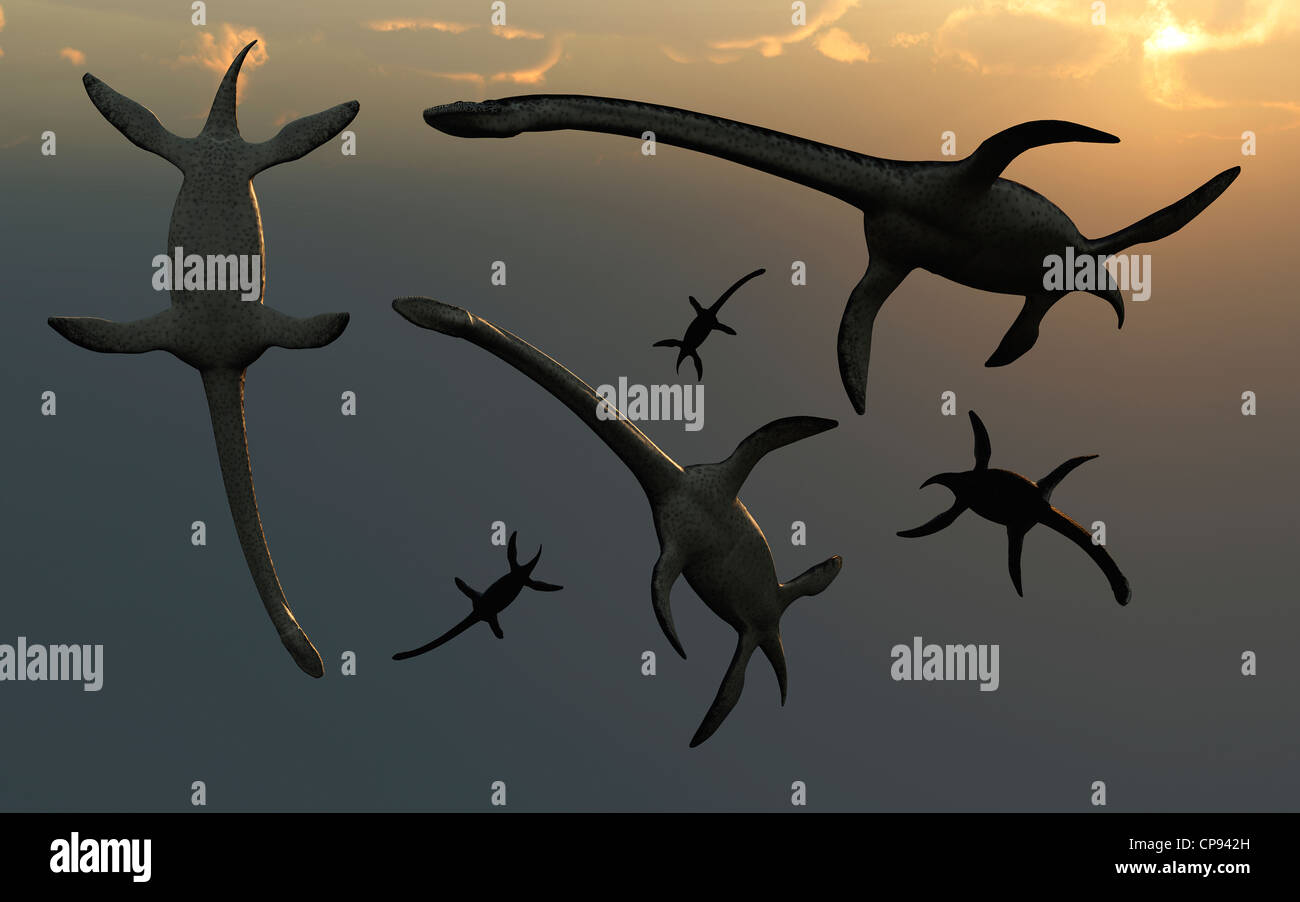 Plesiosaurs hi-res stock photography and images - Alamy