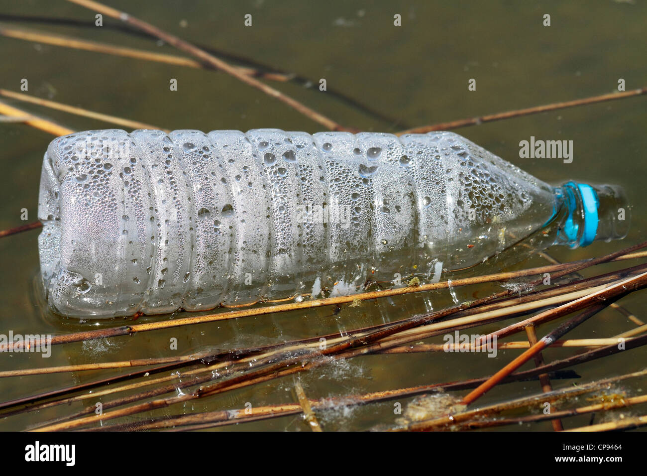 scenes of pollution in natural and disrespect to the ecology Stock ...