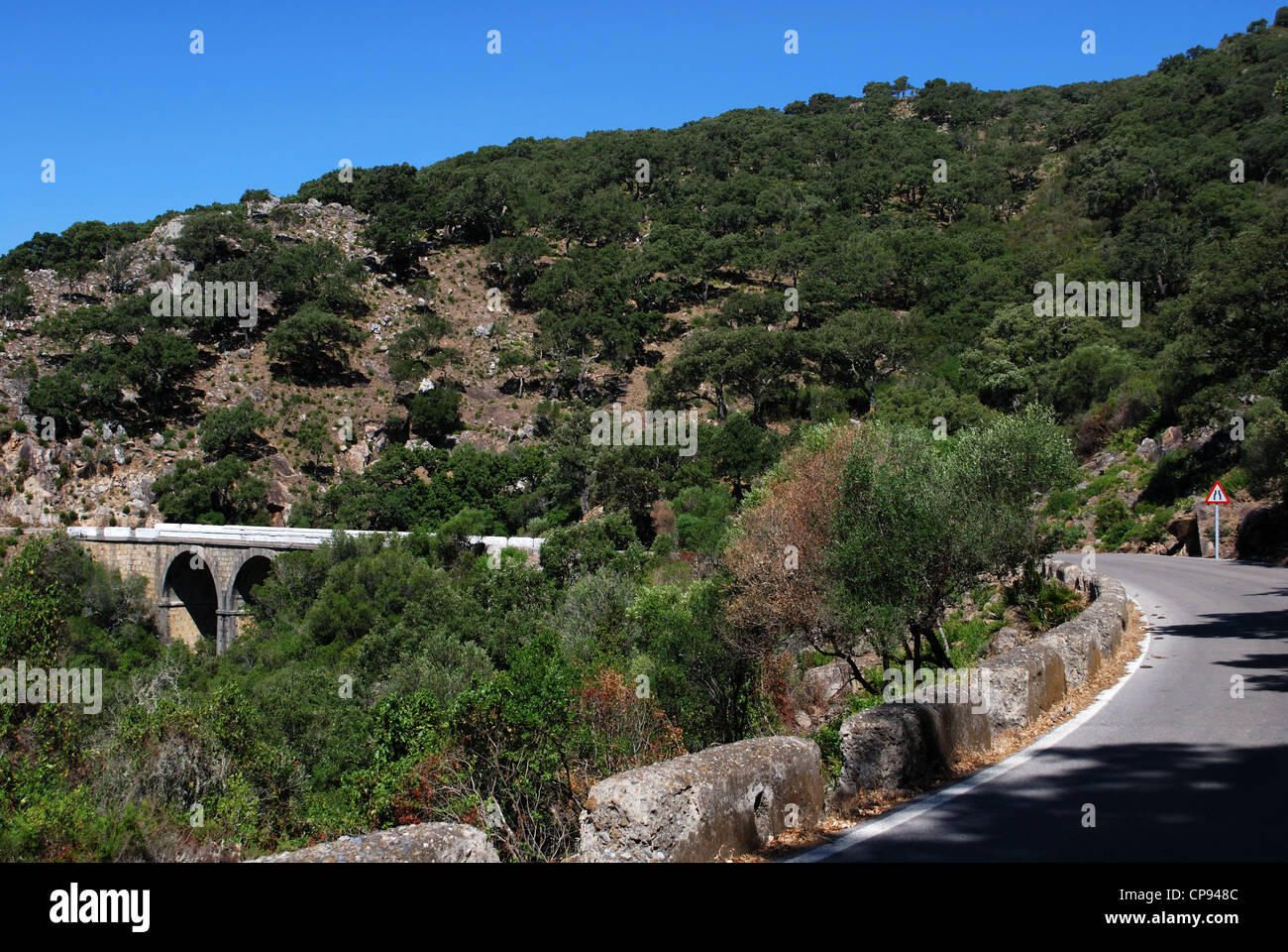 Arched road bridge through mountain forest, Sierra de los Alcornocales ...
