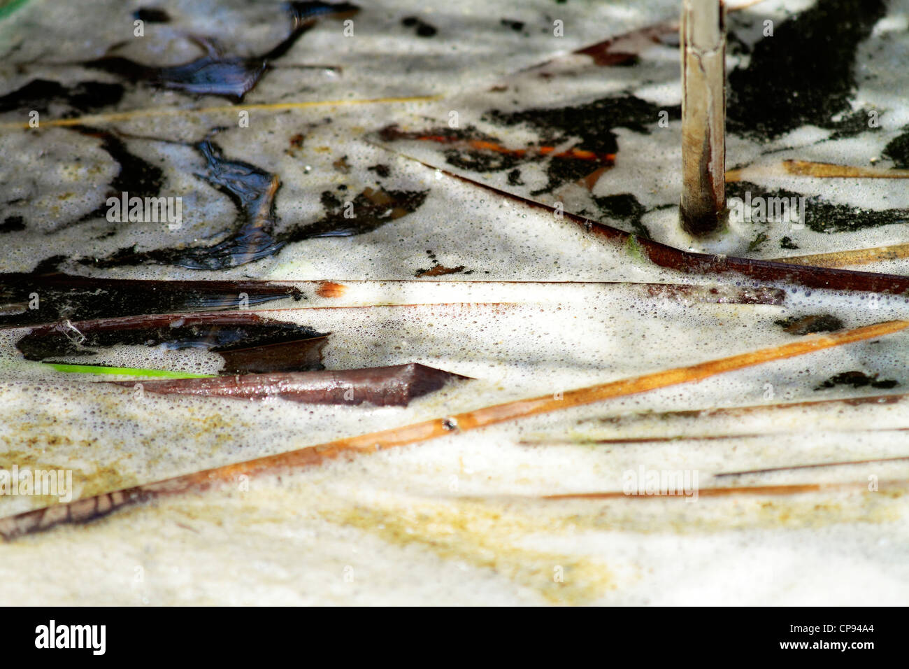 scenes of pollution in natural and disrespect to the ecology Stock ...