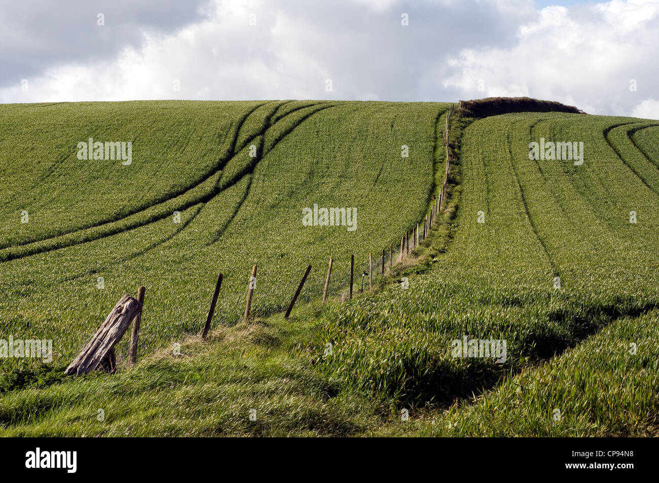 Devonshires lush countryside, field green, grounds, home, house, hut ...