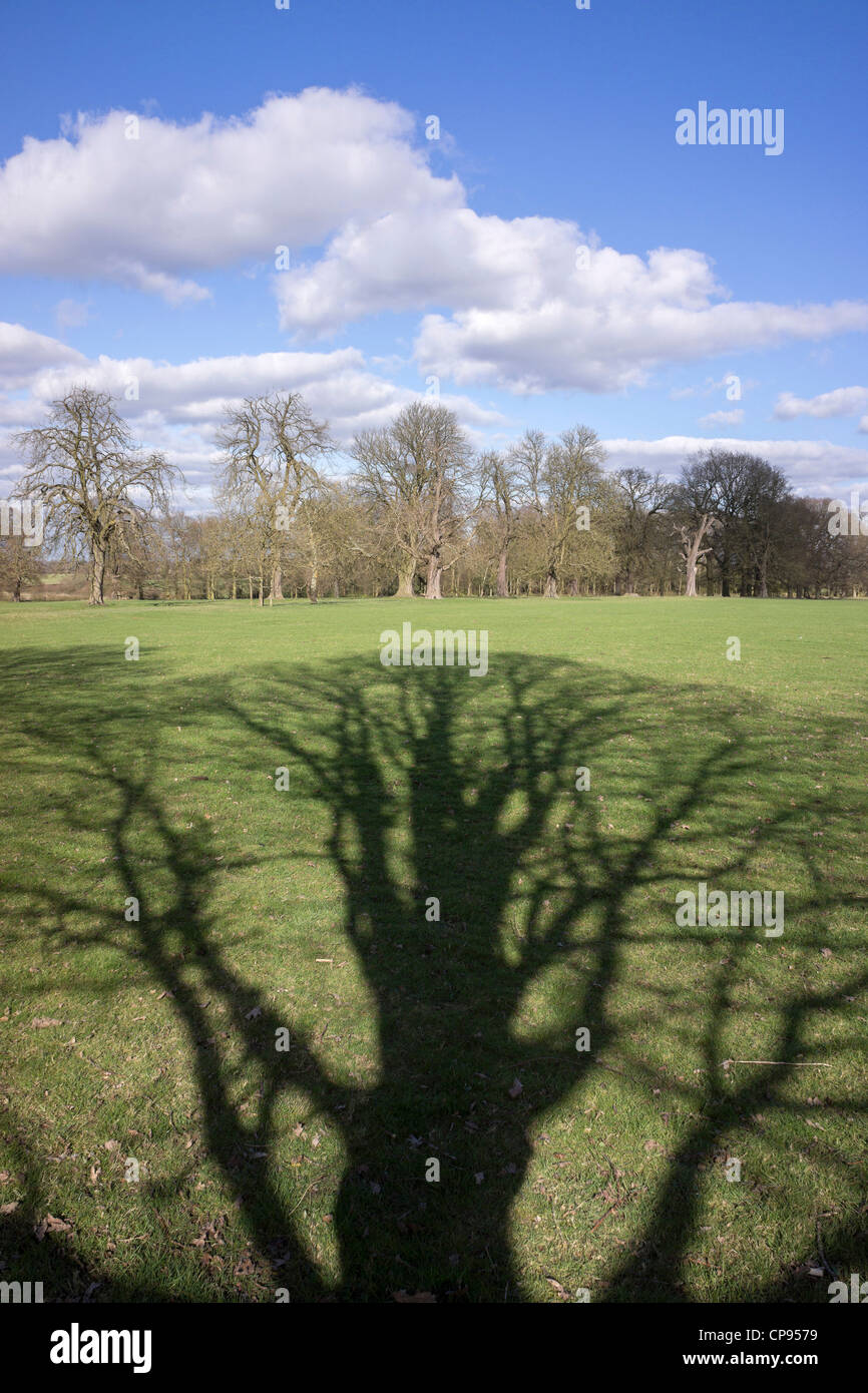 the grounds and gardens of a country estate Stock Photo - Alamy