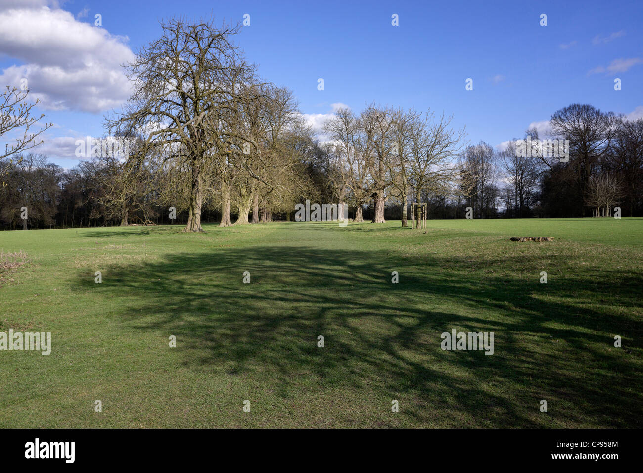the grounds and gardens of a country estate Stock Photo - Alamy