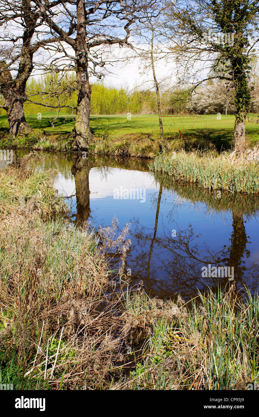 arrow valley lake country park redditch worcestershire midlands england ...