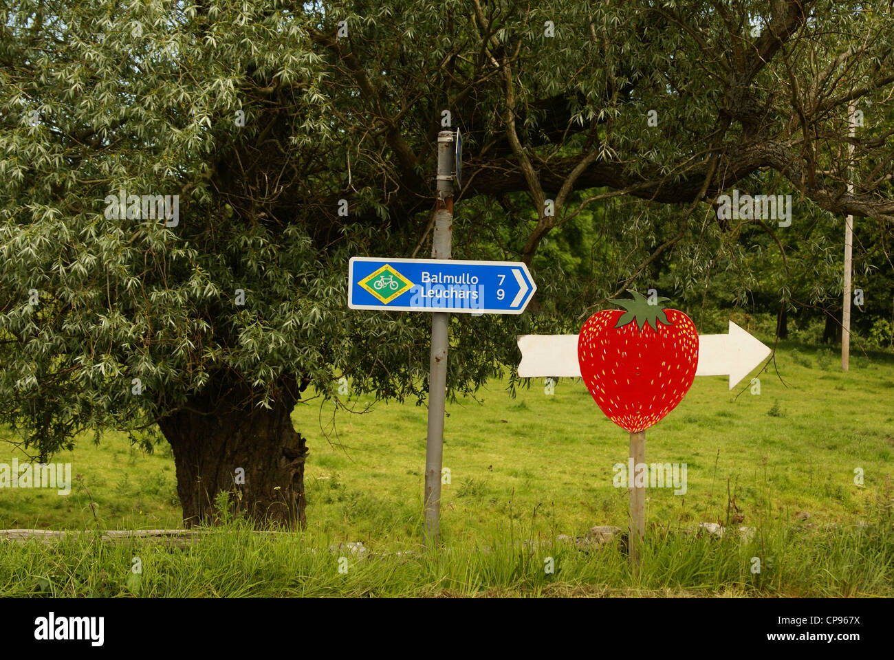 Strawberry field road signs fife hi-res stock photography and images ...