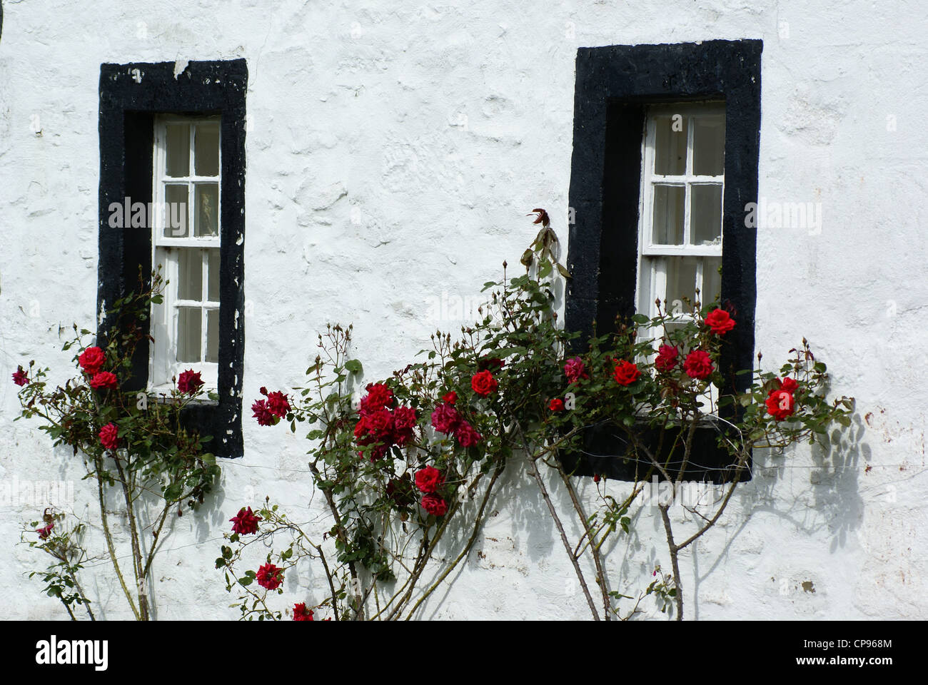Rose Windows High Resolution Stock Photography and Images - Alamy