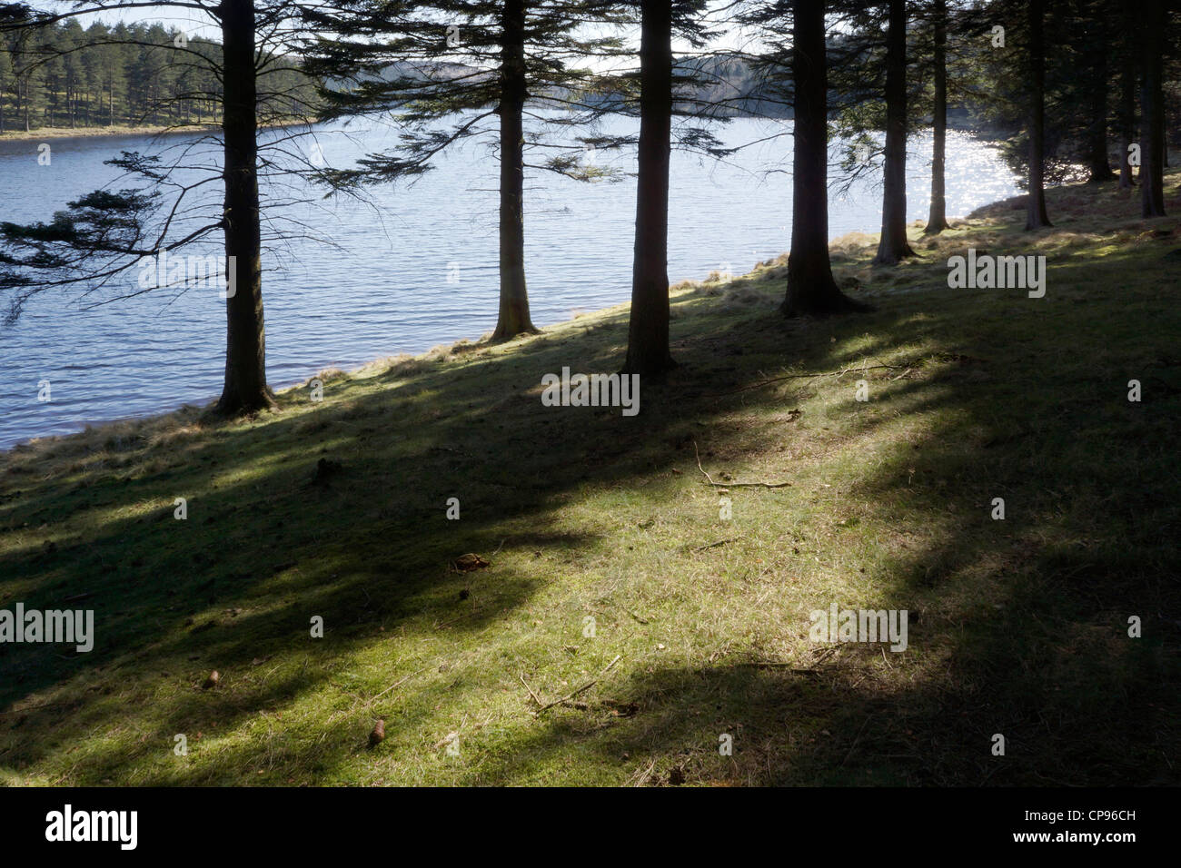 Reservoir in the Derwent Valley Peak District National Park midlands ...