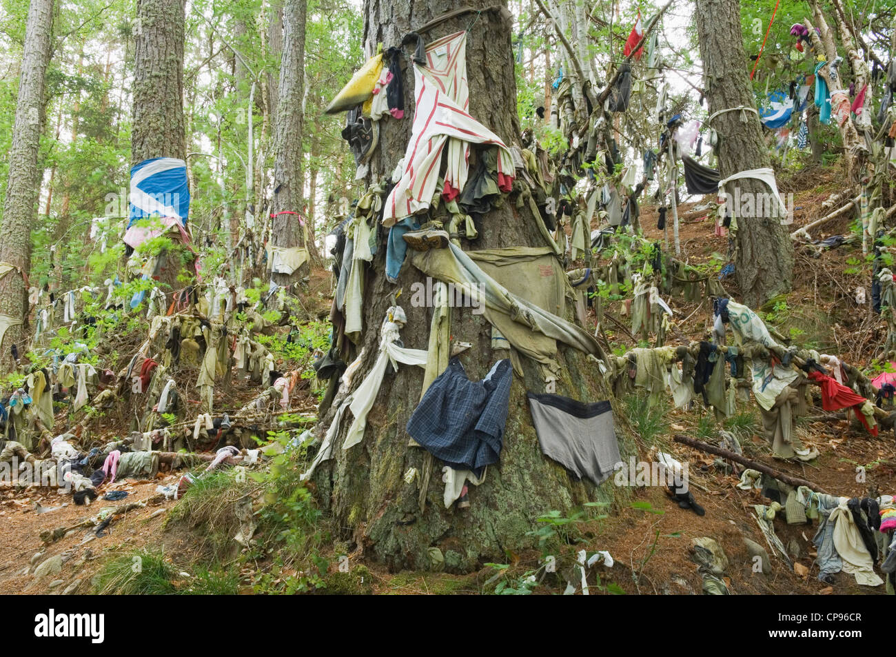 Clootie Tree High Resolution Stock Photography and Images - Alamy