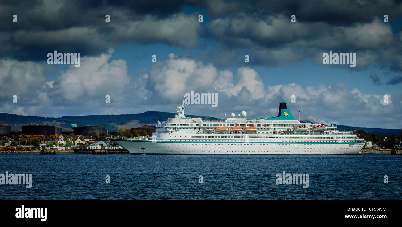 German albatross hi-res stock photography and images - Alamy