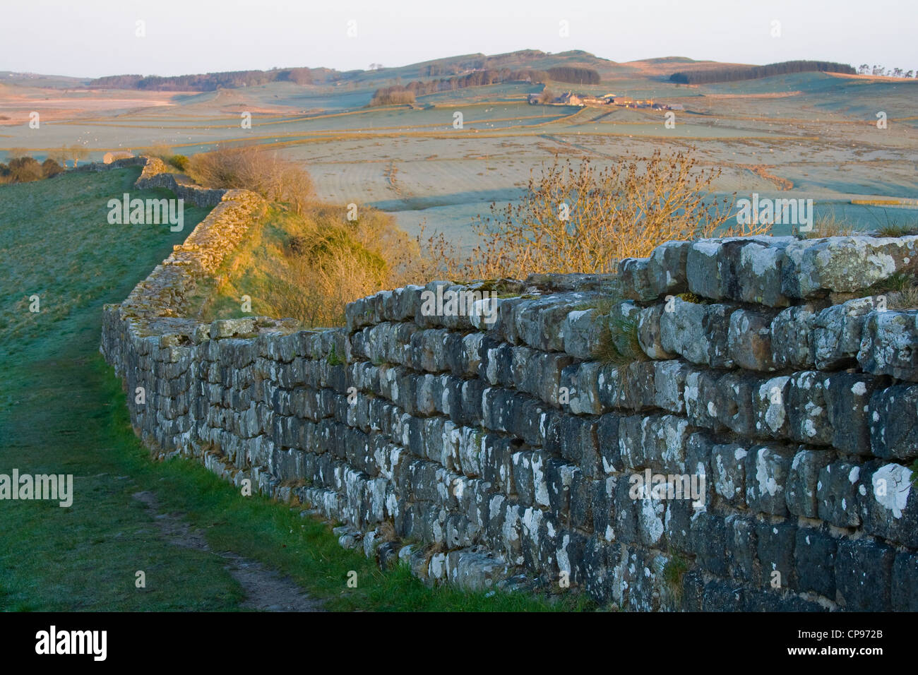 Looking west along Hadrian's wall near Cawfields Quarry Stock Photo - Alamy