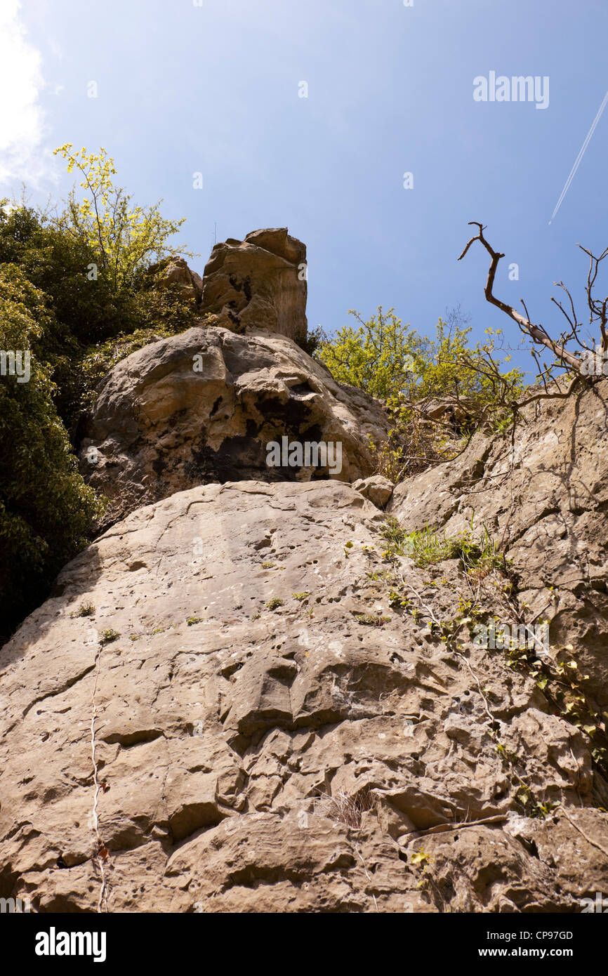 Limestone gorge hi-res stock photography and images - Alamy
