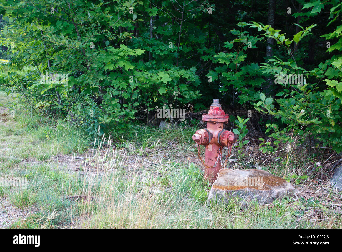 Red Fire Hydrant Stock Photo - Alamy