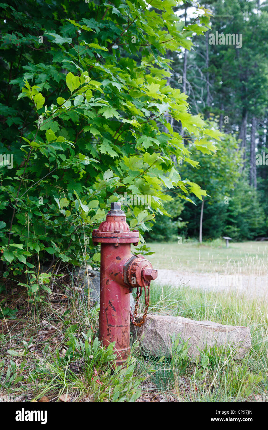 Red Fire Hydrant Stock Photo - Alamy